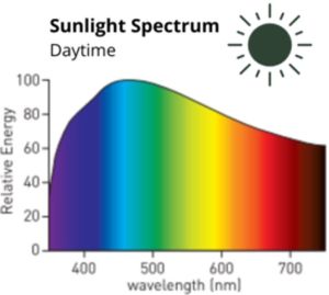Why Is the Sky Blue? The Science of Sunlight and Our Atmosphere ...